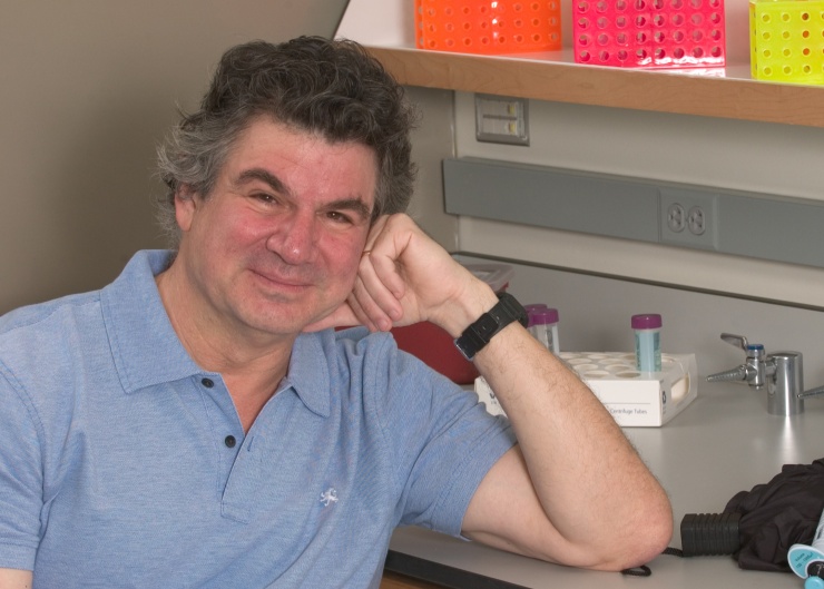 Collaborator | Laboratory of Mathematics in Imaging